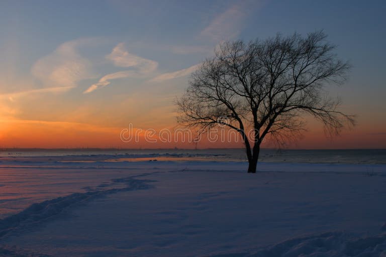 833 Tree Life Silhouette Sunset River Stock Photos - Free & Royalty ...