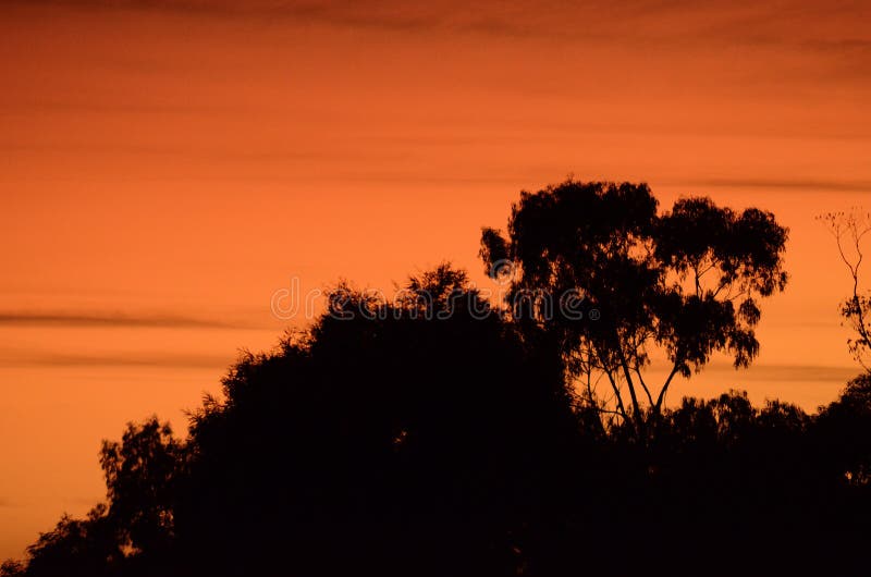 114 Hazelbrook Blue Mountains Australia Stock Photos - Free & Royalty ...