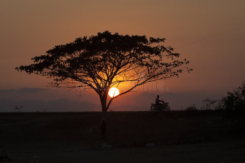 Tree,sunset stock photo. Image of beautiful, reflection - 39243168