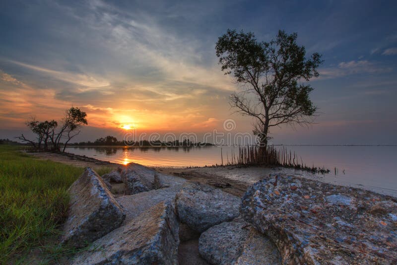 Tree at sunset stock image. Image of evening, lake, black - 56261259