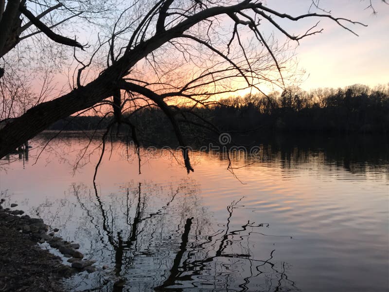 2,514 Tree Hanging Over River Stock Photos - Free & Royalty-Free Stock ...