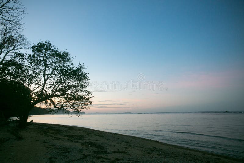 Tree Sunset on a Remote Beach in Asia Stock Image - Image of coastline ...