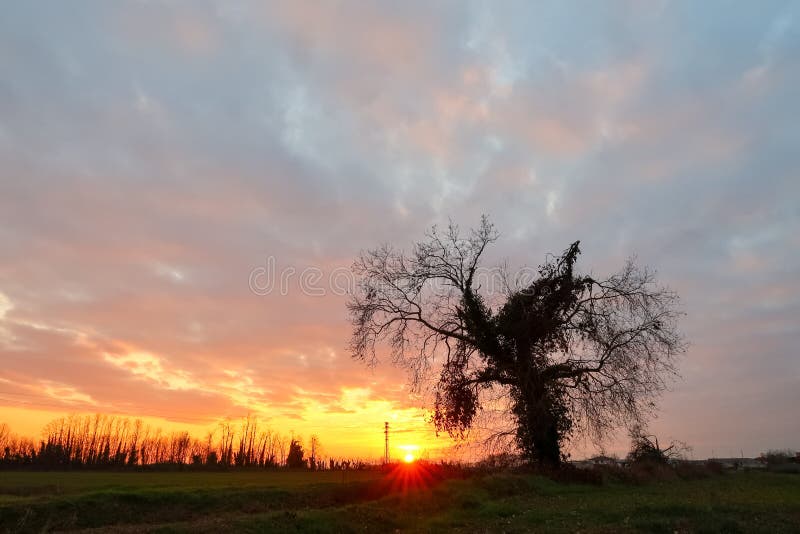 Tree Sunset Sun Backlight Clouds Bright Color Stock Image - Image of ...