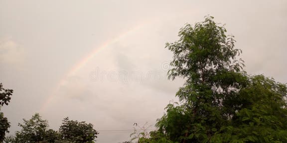 Tree and sunsite stock photo. Image of snoo, tree, indian - 169643628