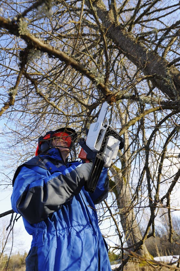 Tree-surgeon in action stock image. Image of chainsaw - 8508335