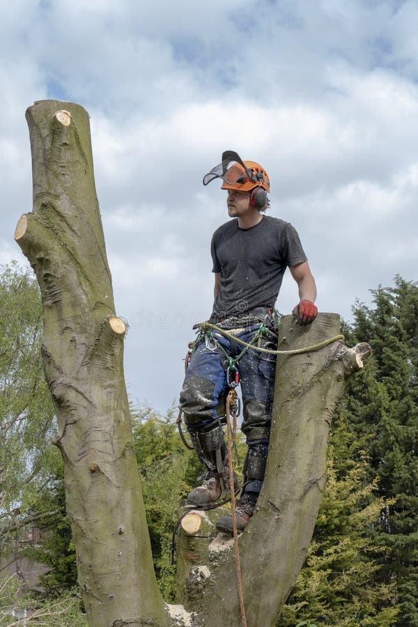 Tree Surgeon Resting stock image. Image of dangerous - 151086333