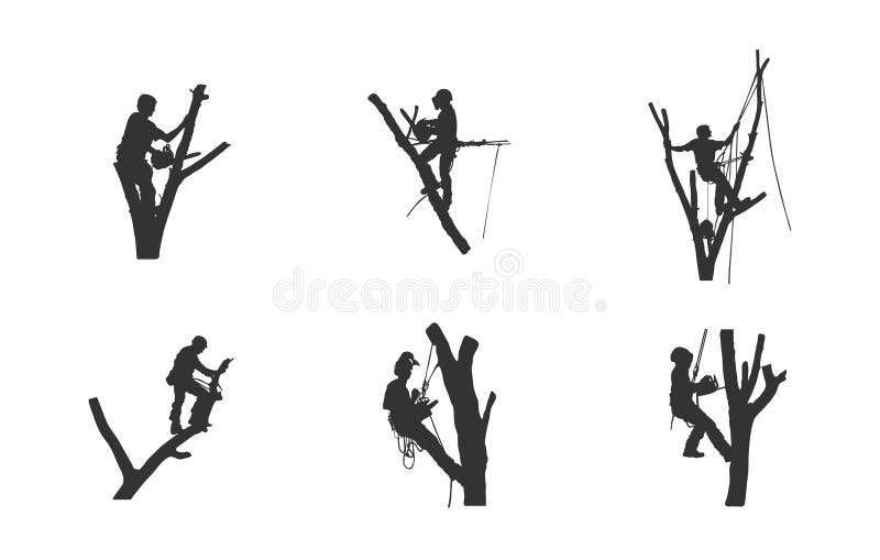 Tree Surgeon Working Silhouette, Tree Surgeon Silhouette, Tree Surgeon ...