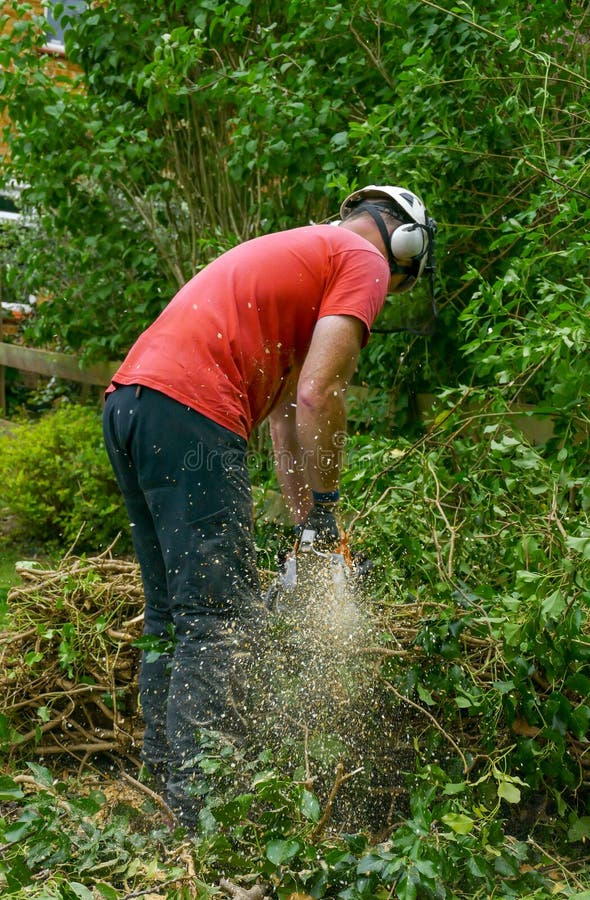 Tree Surgeon Using a Chainsaw Stock Image - Image of nature ...