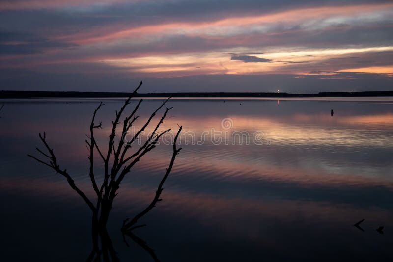 Tree Surrounded by Water Reflecting the Evening Sky during Sunset Stock ...