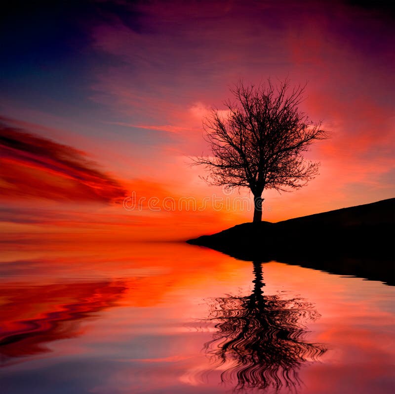 Sunrise in the park7a stock image. Image of frost, grass - 4714781