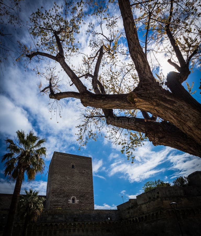 Tree of Svevo castle stock photo. Image of icon, landscape - 153782000