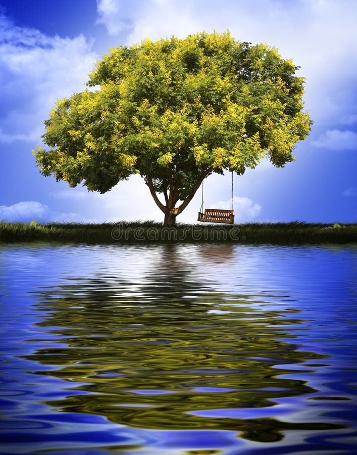 Tree with swing stock image. Image of area, paniculata - 6546017