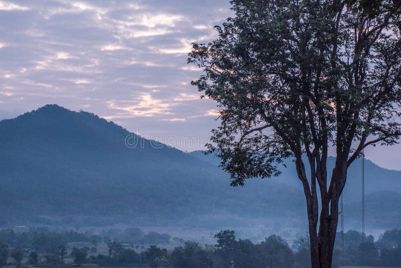 Tree Swing of Mari Pai in Pai, Thailand Stock Photo - Image of morning ...