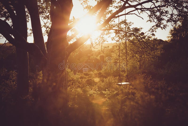 Tree swing at sunset 2 stock image. Image of sunset - 142951879