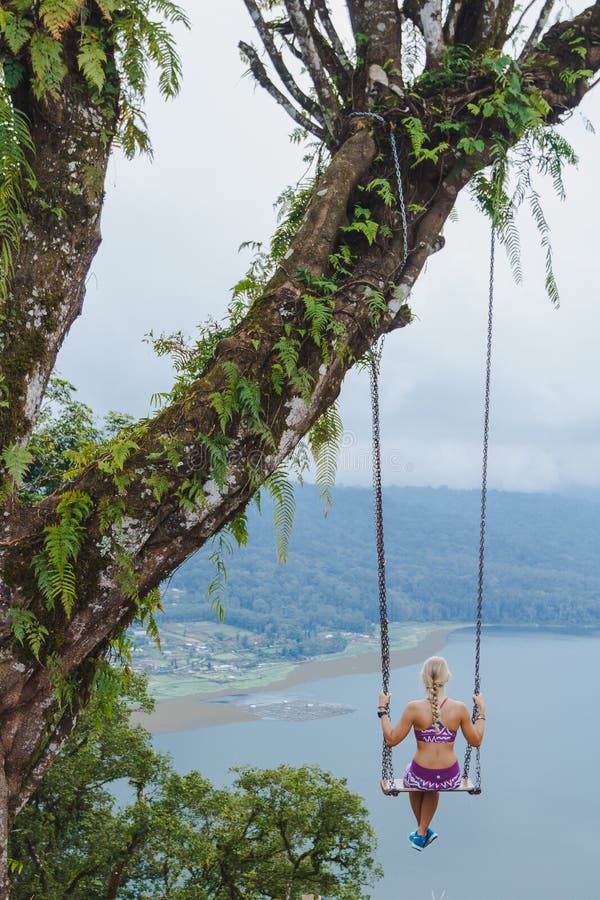 Tree Swing stock photo. Image of flip, niceview, landscpae - 85176336