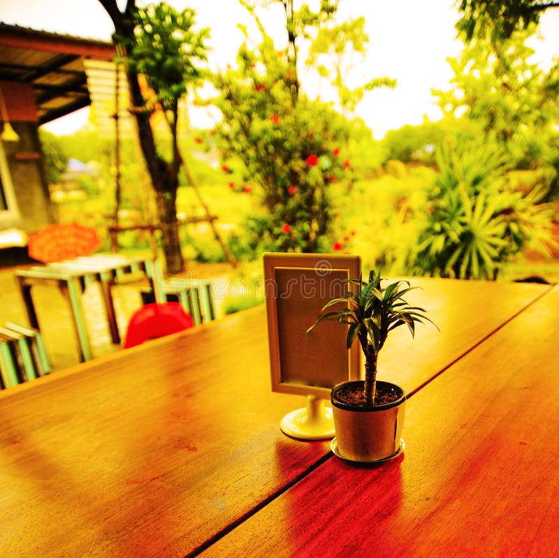 Tree on table stock image. Image of table, wallpaper - 45863961