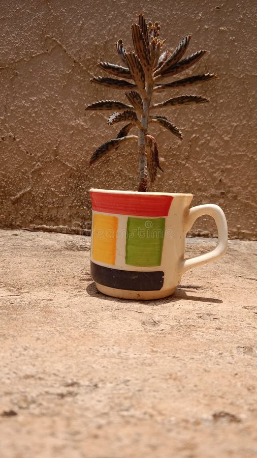 Tree tea cup stock photo. Image of tree, plant, black - 277793542