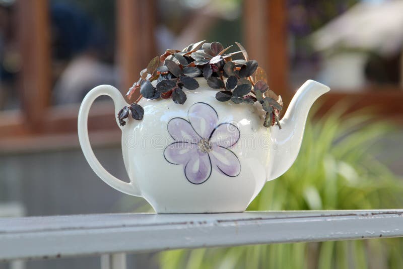 Tree teapot stock photo. Image of traditional, teapot - 13231404