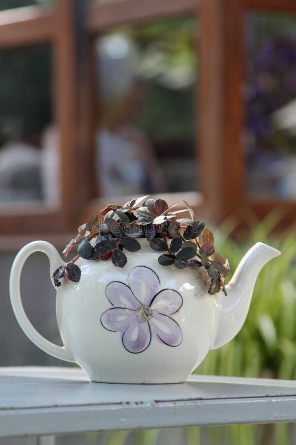 Tree in teapot. stock photo. Image of purple, fresh - 155591098