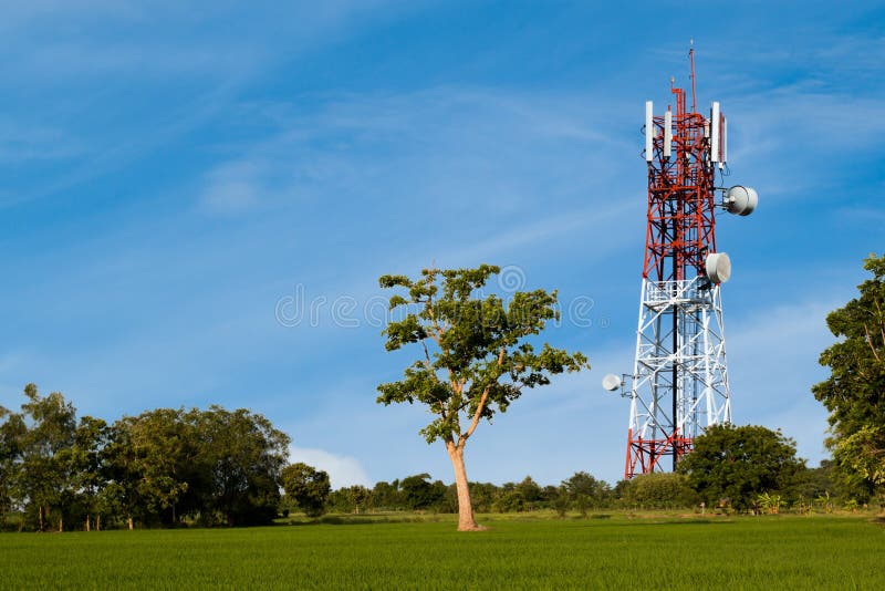 606 Tower Rice Field Agriculture Stock Photos - Free & Royalty-Free ...