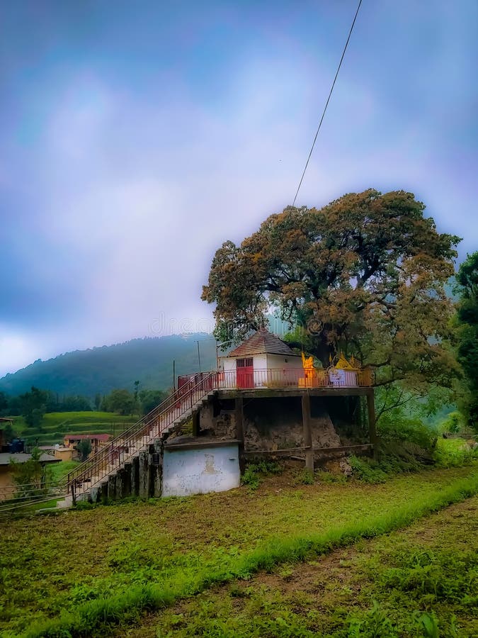 Tree Temple Stair Hill Mountain Stock Image - Image of landscape ...