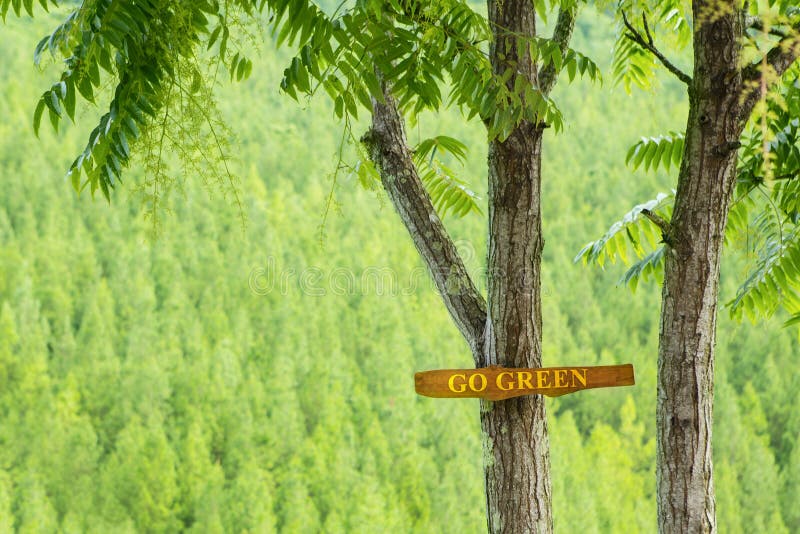 832 Go Green Tree World Stock Photos - Free & Royalty-Free Stock Photos ...