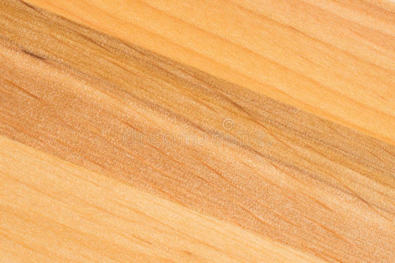 Tree Texture. Timber Light Natural Pattern Stock Image - Image of brown ...