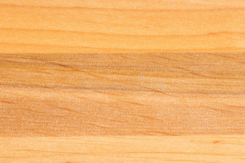 Tree Texture. Timber Light Natural Pattern. Wood Grain Background Stock ...