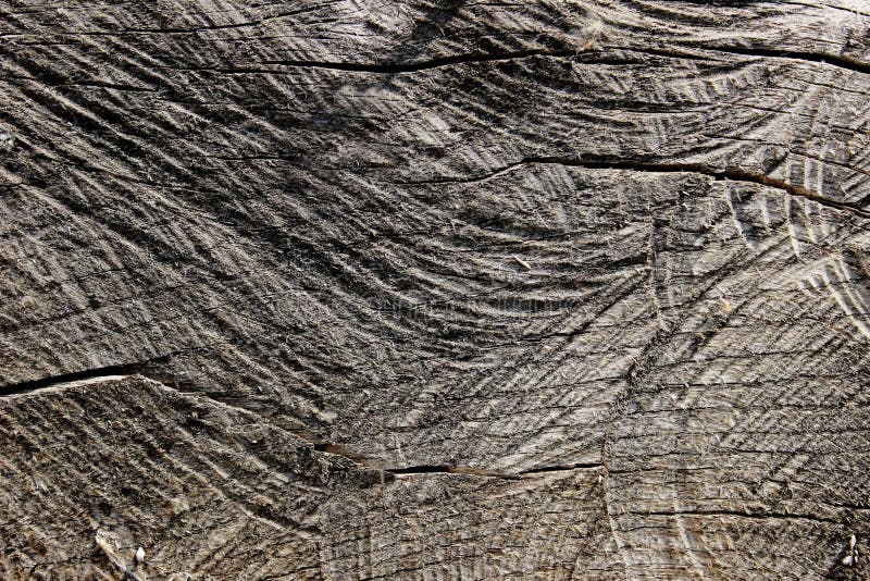 Tree Texture. Tree Background. Crack Tree Texture Stock Image - Image ...
