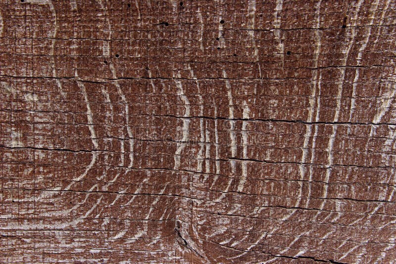 Tree Texture. Tree Background. Crack Tree Texture Stock Image - Image ...