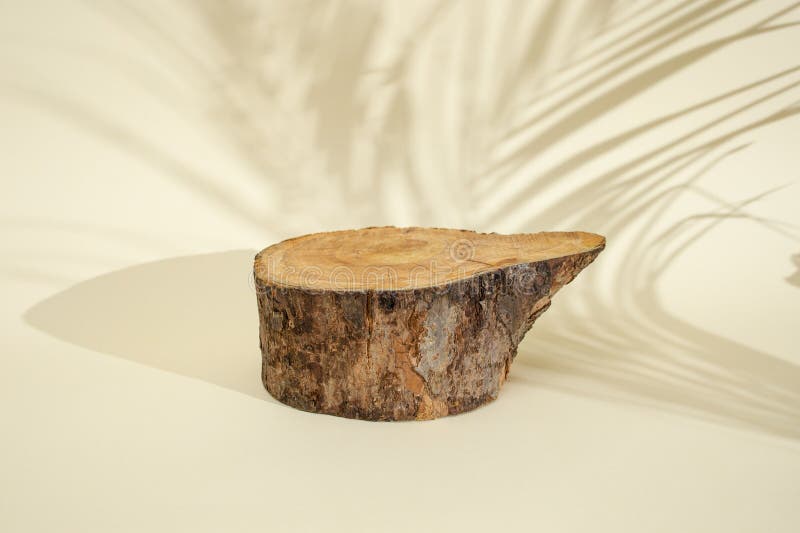 Tree Thick Cross Section on Beige Background with Defocused Palm Leaves ...