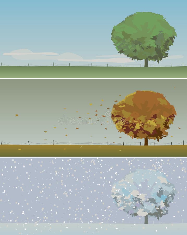 Tree in three seasons stock vector. Illustration of leaves - 4026877