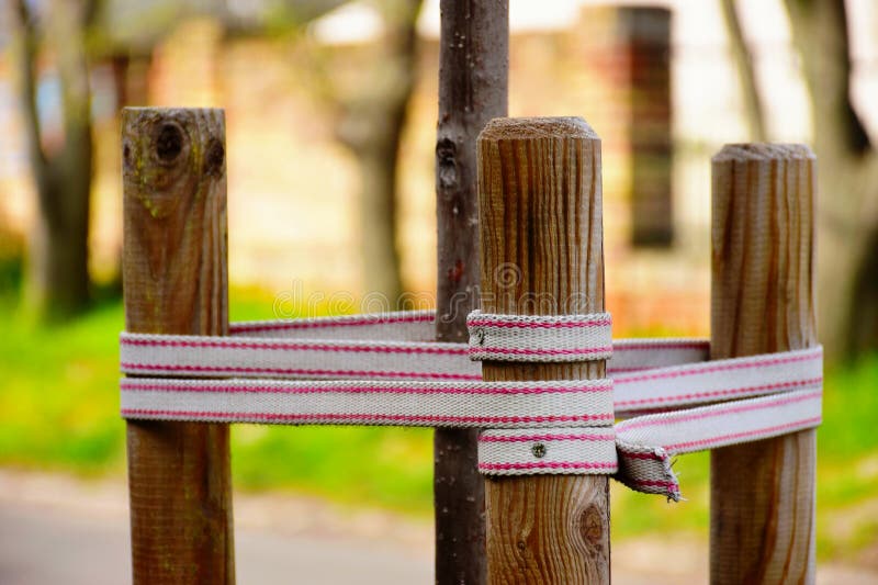 Tree Tie and Protection Device. Wood Posts Surrounding Young Planted ...