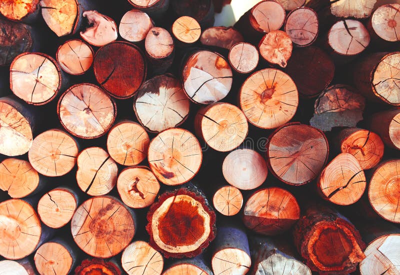 Tree Timber Texture Natural Background. Stock Image - Image of firewood ...