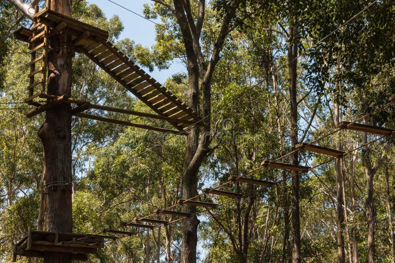 Tree-top adventure park stock image. Image of adventure - 68248077