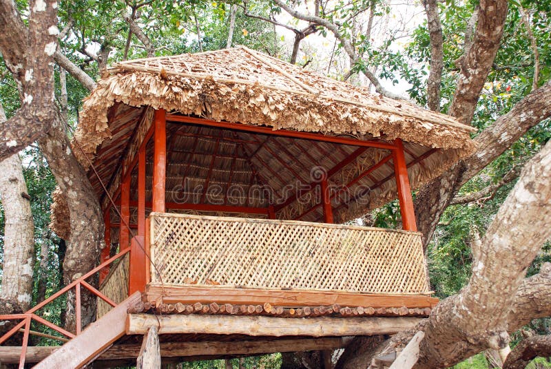 Pigeons house stock photo. Image of birds, lots, pigeons - 69377194