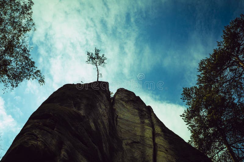 Tree on the Top of the Mountain Rock Stock Image - Image of attraction ...