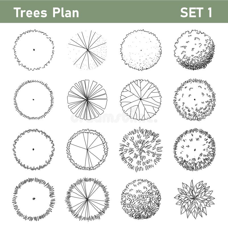 Vector Trees Plan View Free Stock Illustrations – 12 Vector Trees Plan ...