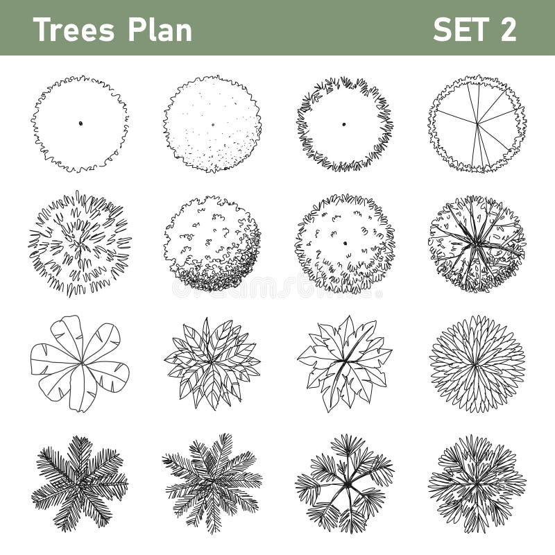 Plan View Tree for Landscape Stock Vector - Illustration of hand ...