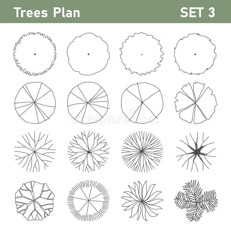 Tree Plan Stock Illustrations – 20,821 Tree Plan Stock Illustrations ...