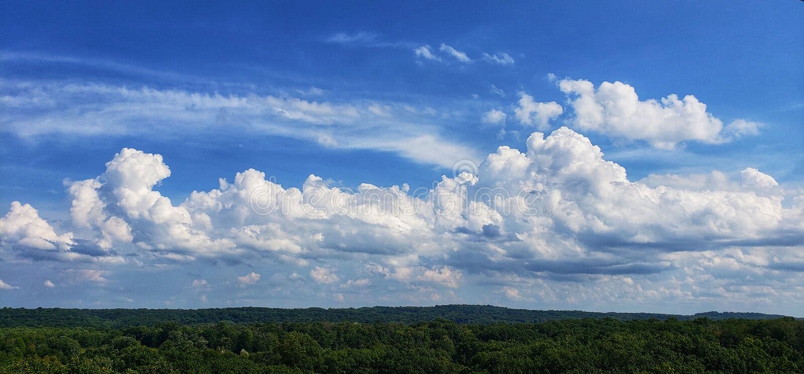 View of the Forest from the Holden Arboretum in Kirtland, Ohio Stock ...
