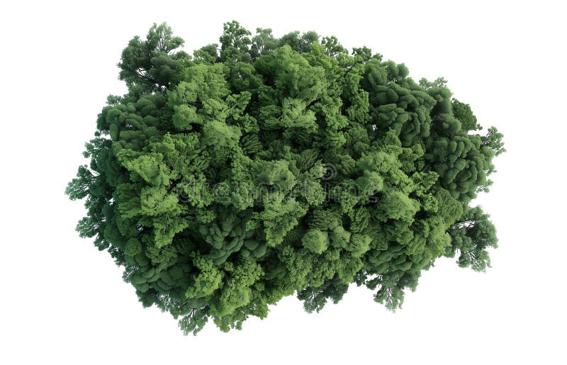 Tree Top View Isolated on White Background . Stock Illustration ...