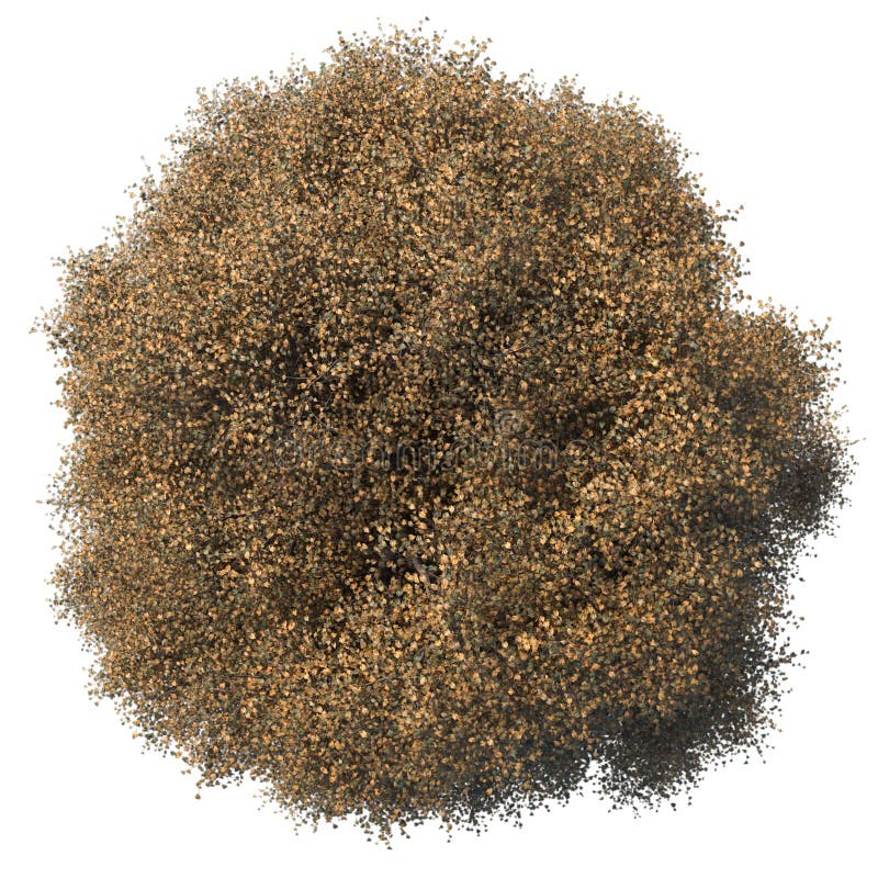 Tree from Top View Isolated on White Background for Architectural ...