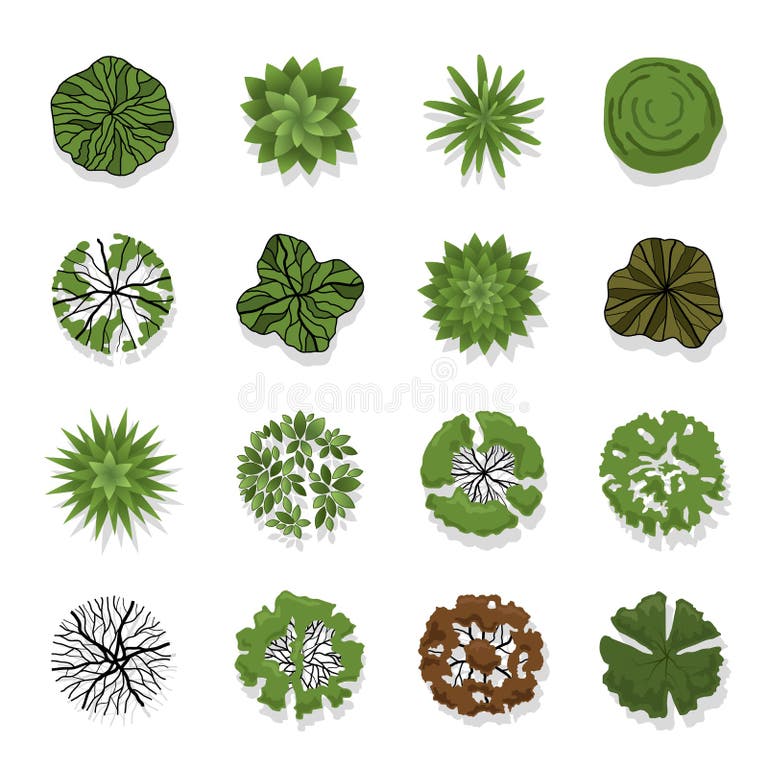 Tree Top View for Landscape Stock Vector - Illustration of plant ...