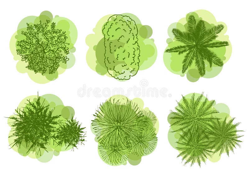 Trees Top View for Landscape Vector Illustration. Stock Vector ...