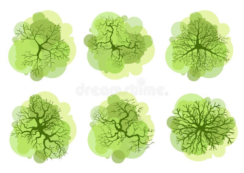 Trees Top View for Landscape Vector Illustration. Stock Vector ...