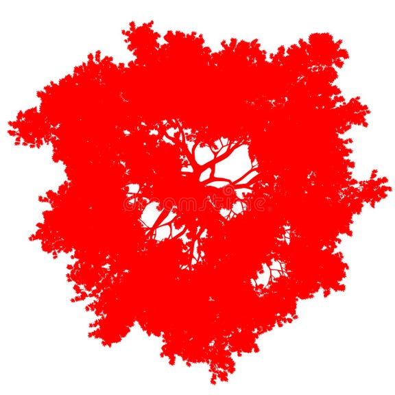 Tree Top View Silhouette Isolated - Red - Vector Stock Vector ...