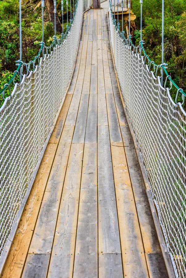 Elevated Tree Canopy Walkway at Kirstenbosch Botanical Gardens, Cape ...
