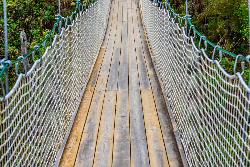 Elevated Tree Canopy Walkway at Kirstenbosch Botanical Gardens, Cape ...
