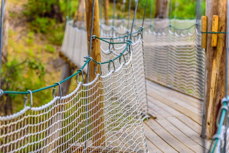 Elevated Tree Canopy Walkway at Kirstenbosch Botanical Gardens, Cape ...